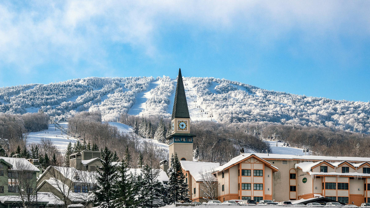 Stratton Logo Tshirts/Hoodies – Tagged "logo"– The Stratton On Line Shop